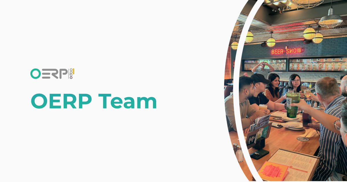 OERP Team | Best Odoo Gold Partner